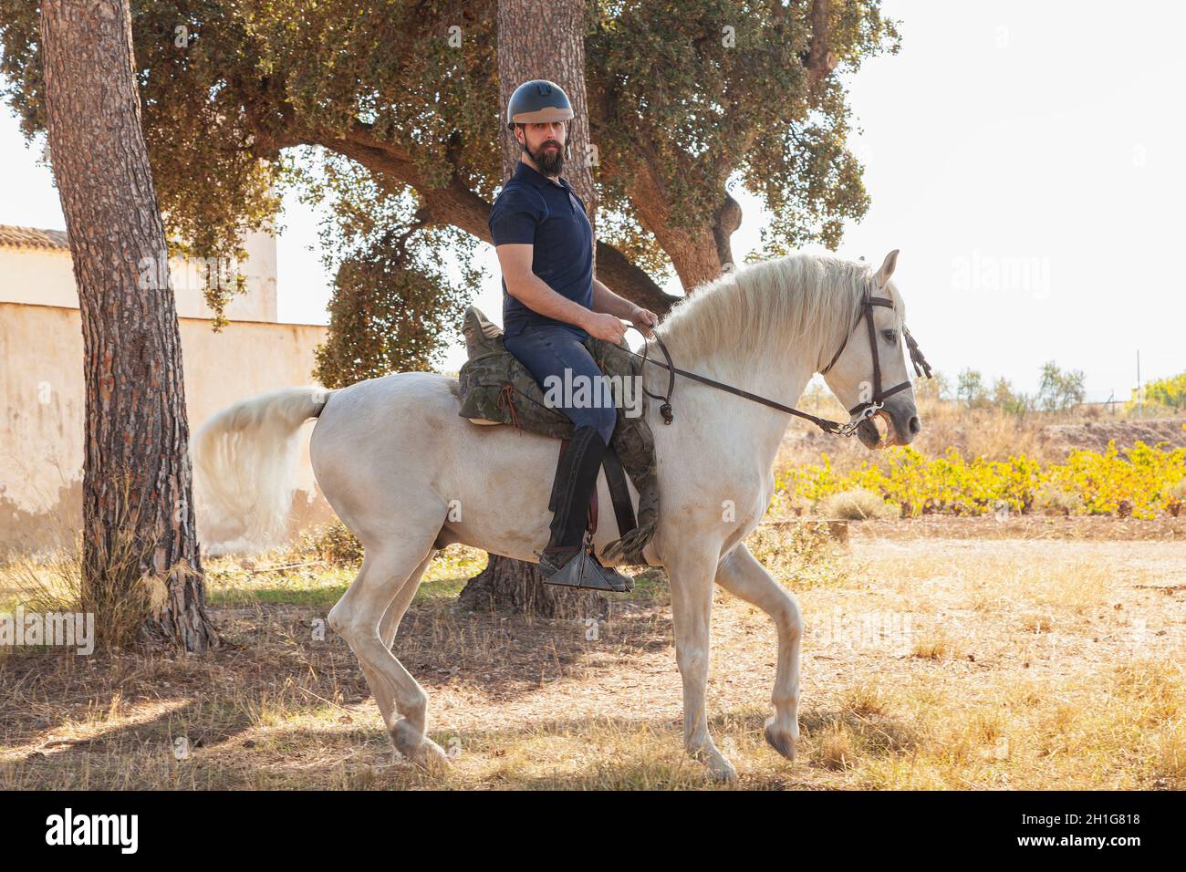 A rider, a Caucasian man with a beard, is riding his white horse, which ...
