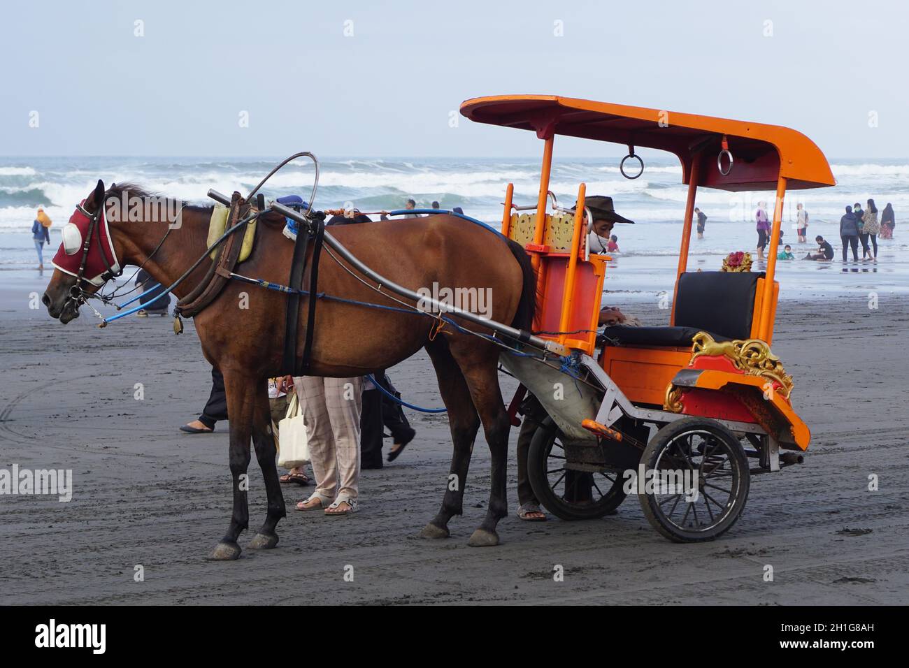 Horse-drawn waiting for passenger on parang tritis beach, Yogyakarta ...
