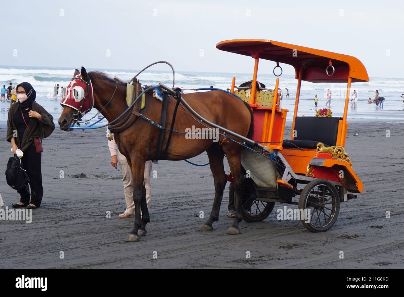 Horse-drawn waiting for passenger on parang tritis beach, Yogyakarta ...