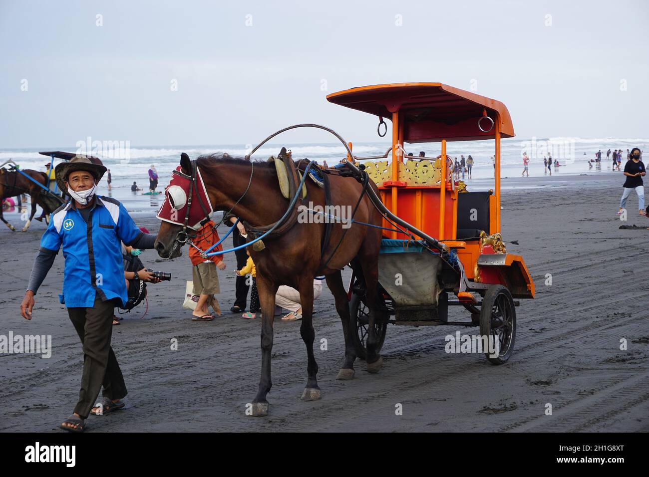 Horse-drawn waiting for passenger on parang tritis beach, Yogyakarta ...