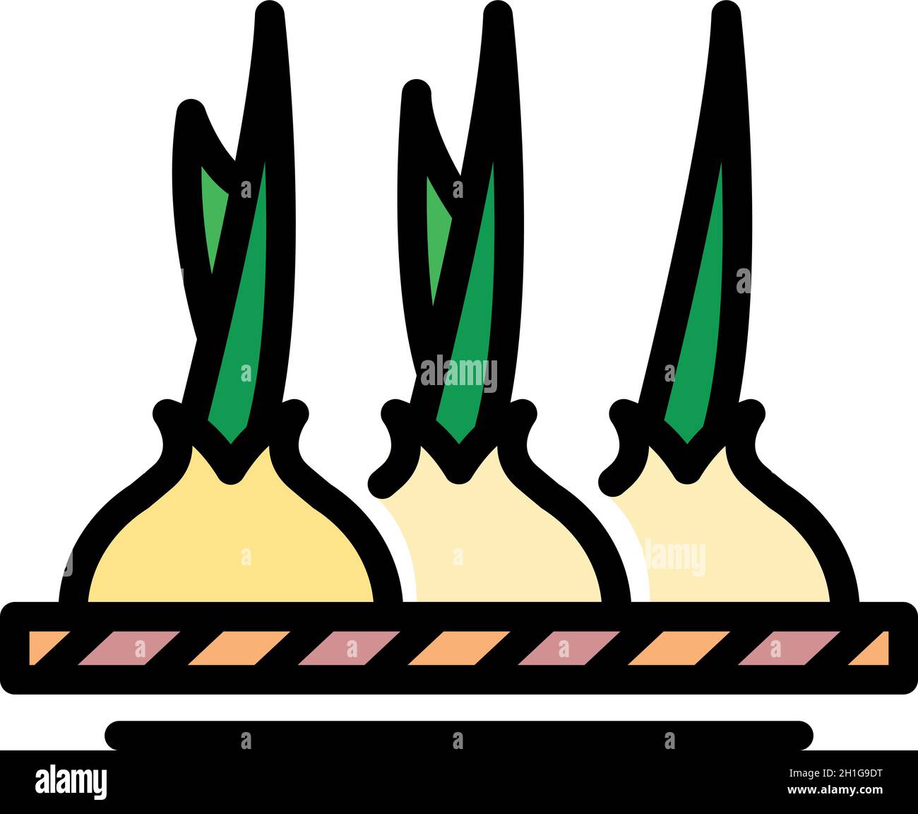 Garden onion icon. Outline garden onion vector icon color flat isolated ...