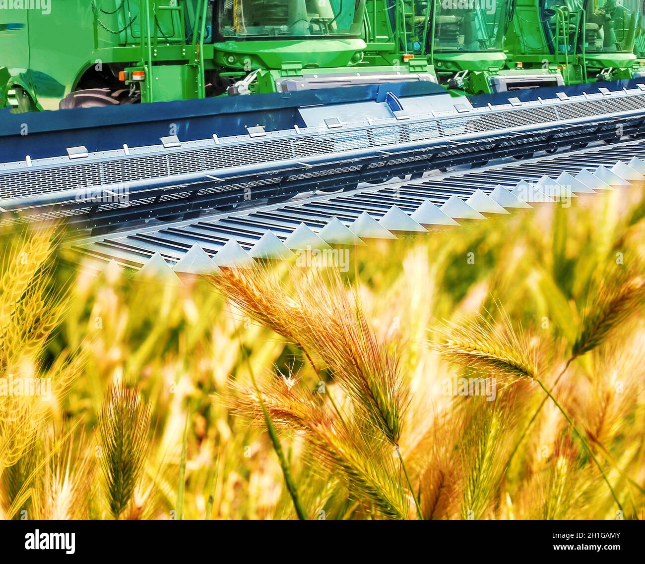 Modern combines at field. The agriculture, farming concept Stock Photo ...