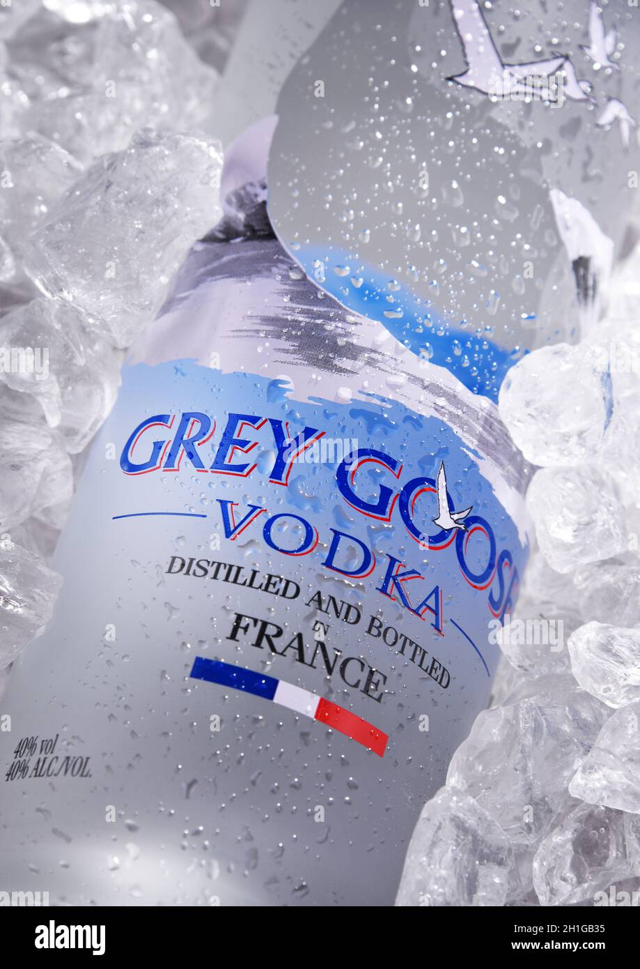 Grey Goose Wallpaper Iphone
