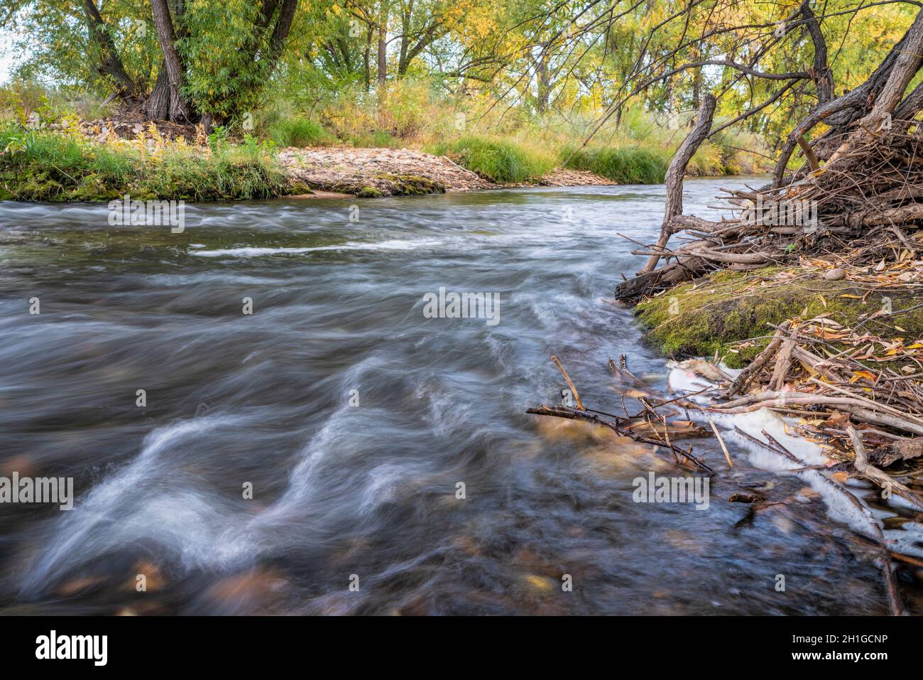 fall scenery of Cache la Poudre River in Fort Collins, northern ...