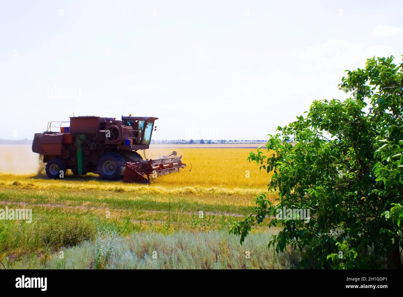 The old combine at field. The agriculture, farming concept Stock Photo ...