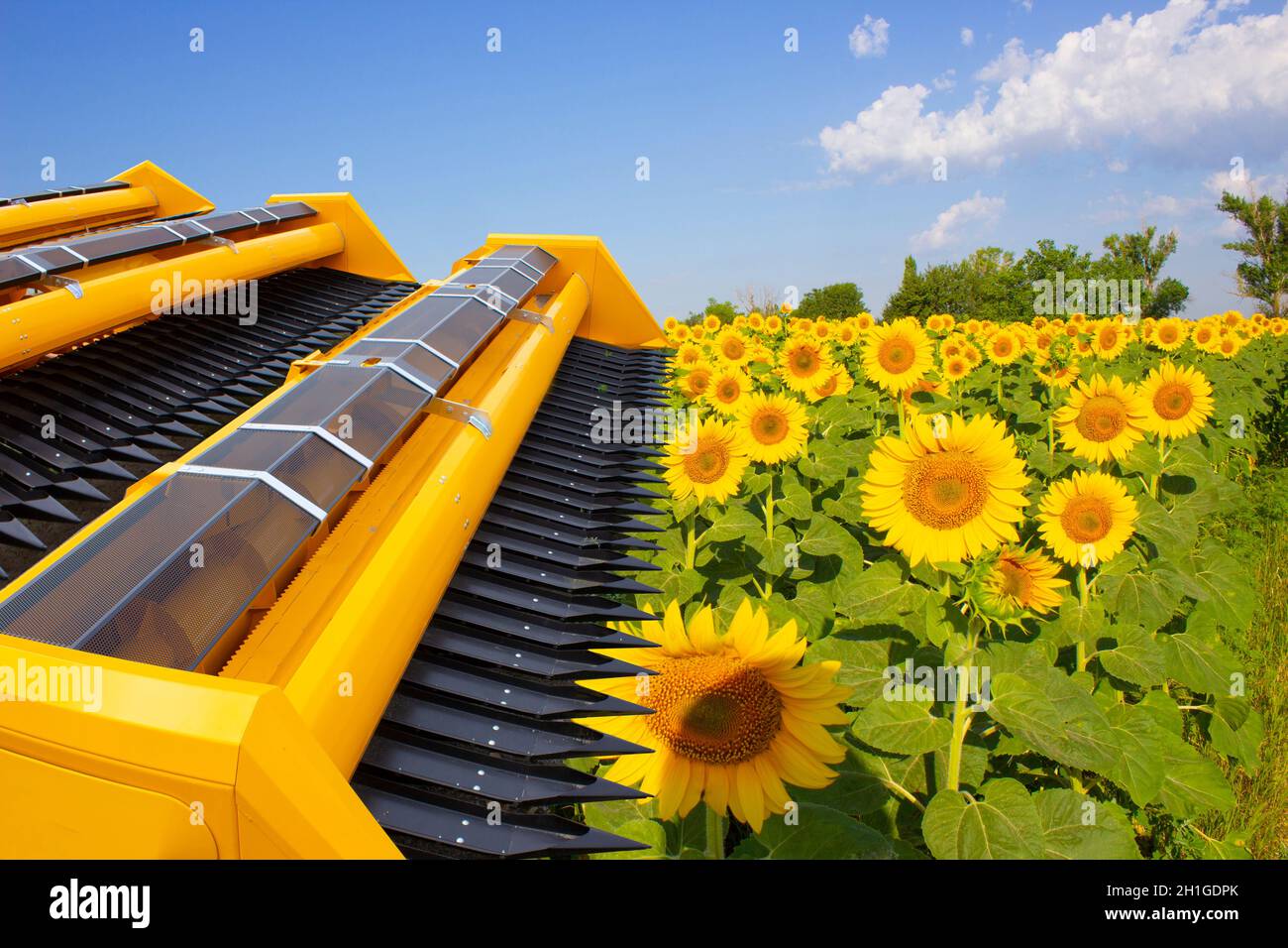 Yellow harvester hi-res stock photography and images - Alamy