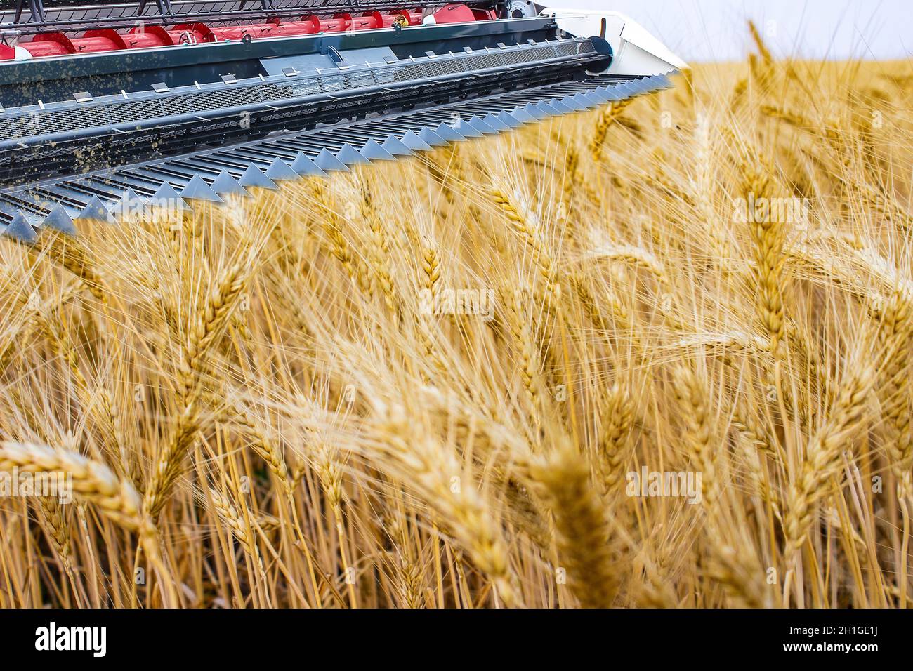 Modern combines at field. The agriculture, farming concept Stock Photo ...