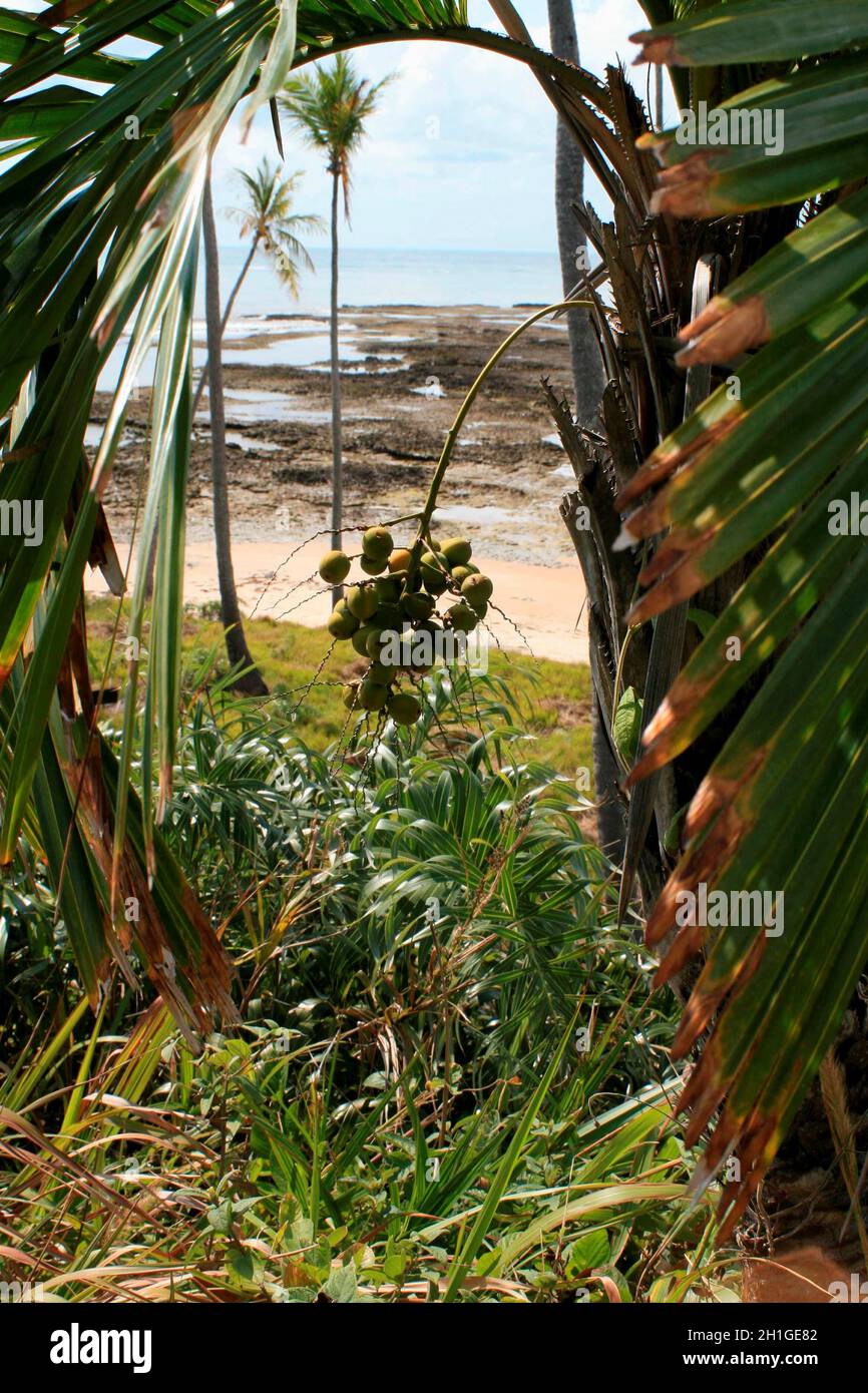 prado, bahia / brazil - september 12, 2008: view of Moreira beach ...