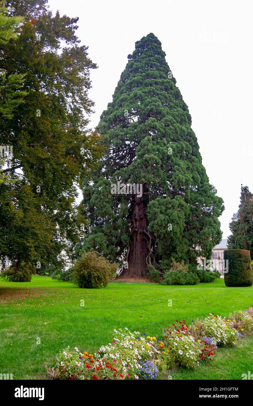 40 meters hi-res stock photography and images - Alamy