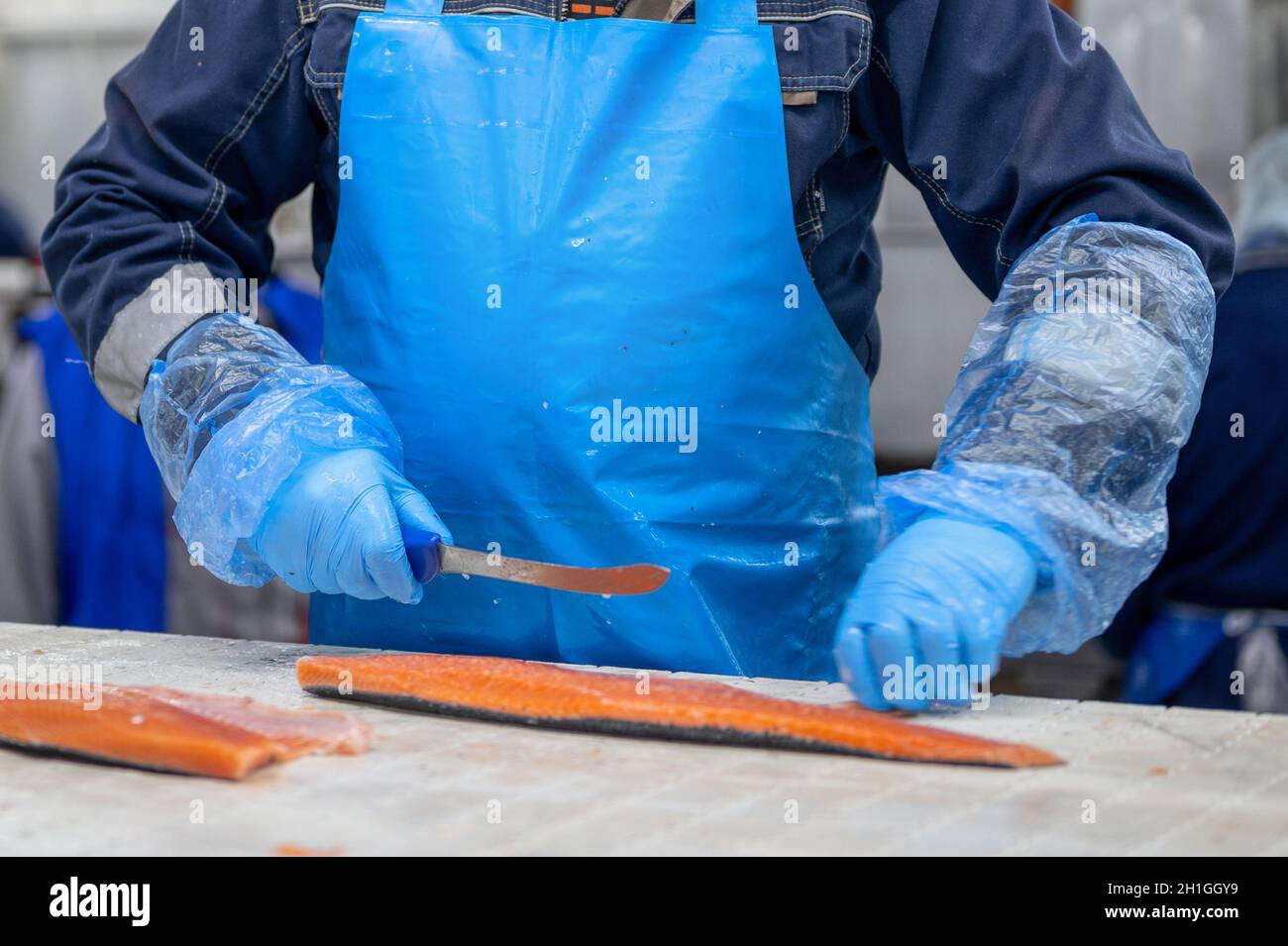 Hand fish hi-res stock photography and images - Alamy