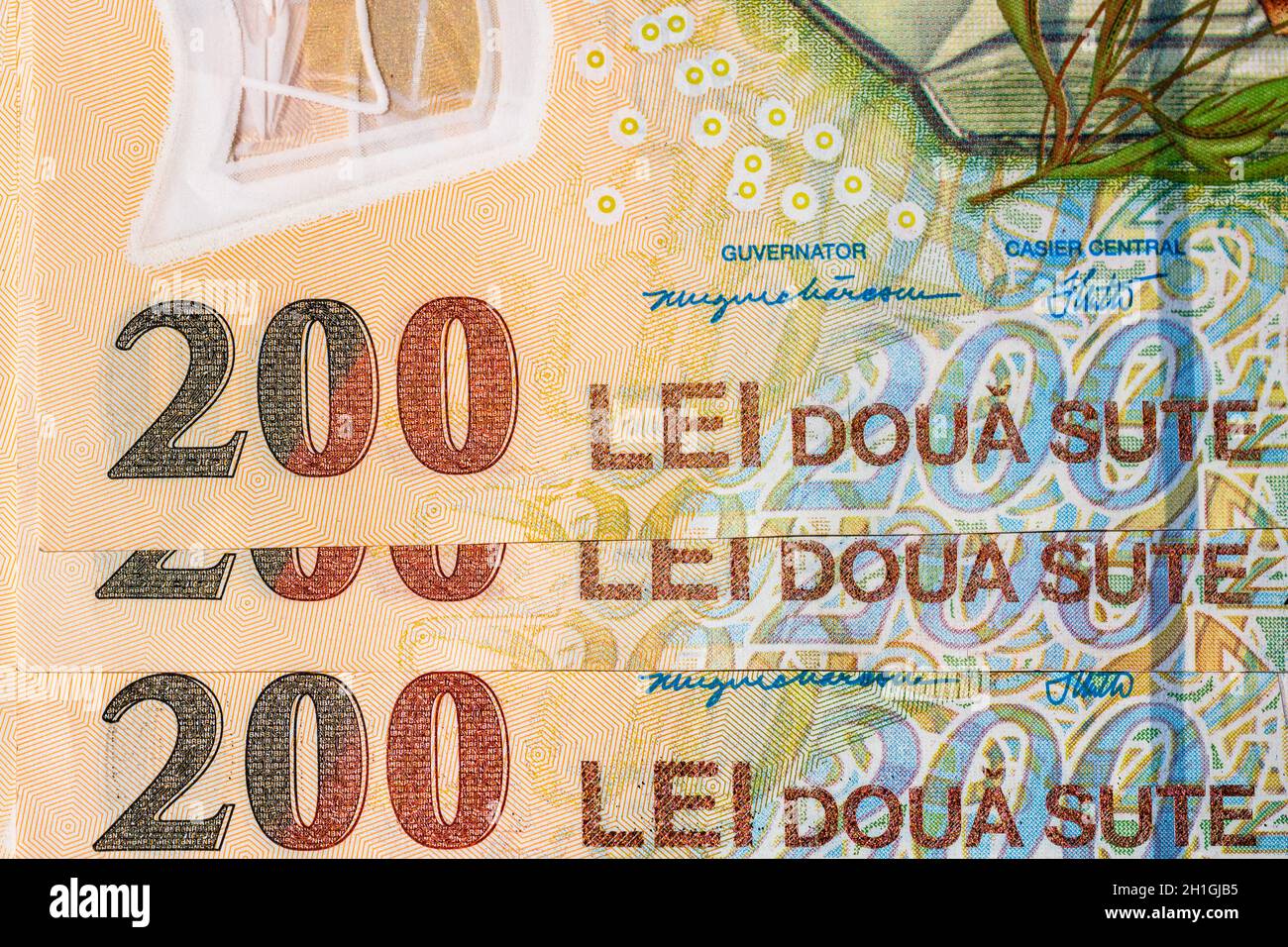 Selective focus on detail of lei banknotes. Close up macro detail of ...