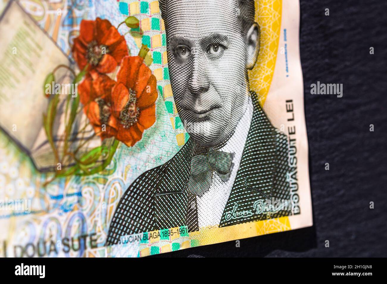 Selective focus on detail of lei banknotes. Close up macro detail of ...