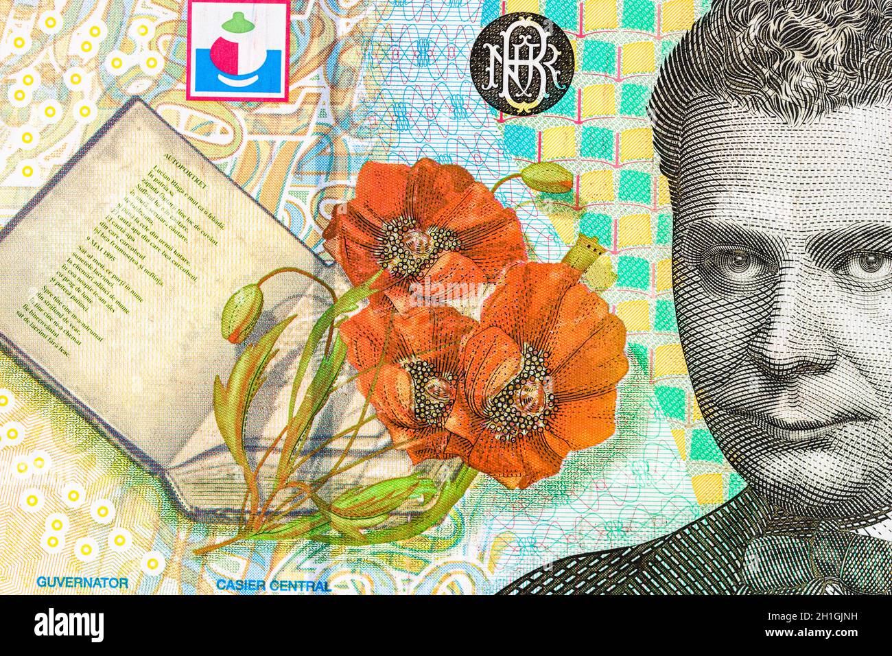 Selective focus on detail of lei banknotes. Close up macro detail of ...