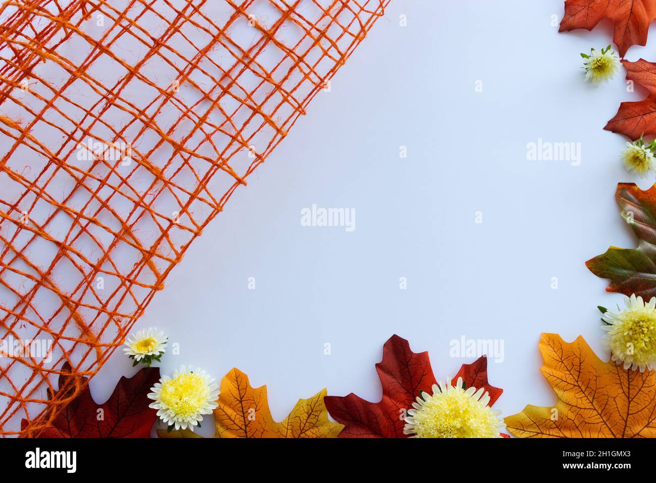 Frame from flowers hi-res stock photography and images - Alamy