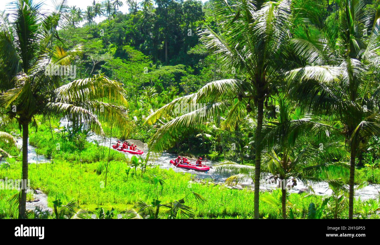 Ayung hi-res stock photography and images - Alamy