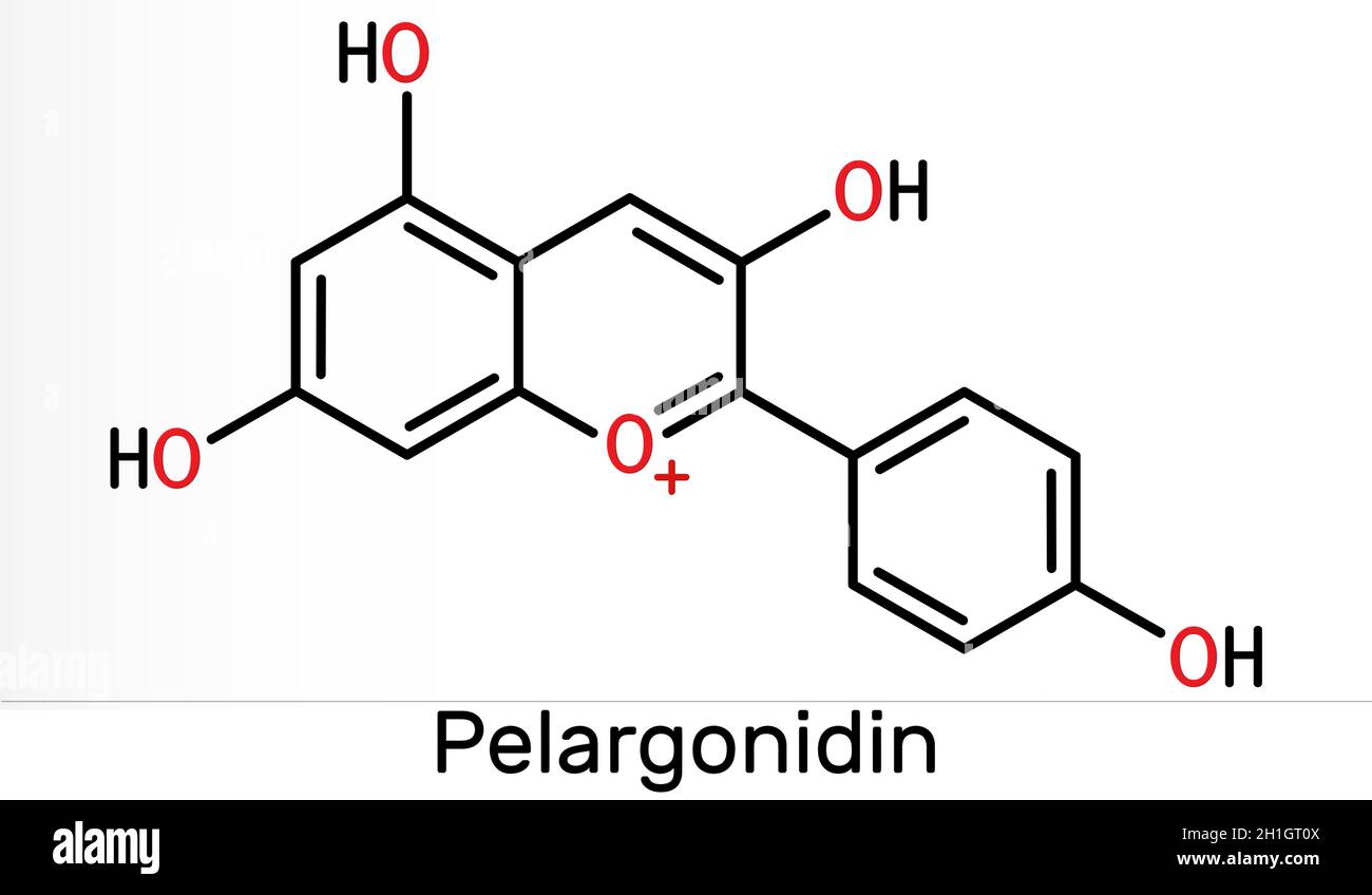 Pelargonidin molecule. It is anthocyanidin cation, plant pigment ...