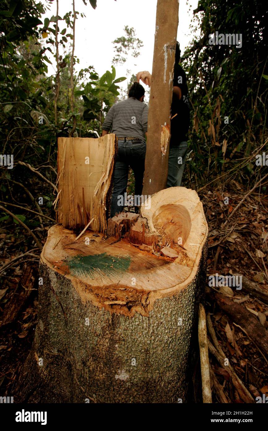 Amazonas deforestation hi-res stock photography and images - Alamy