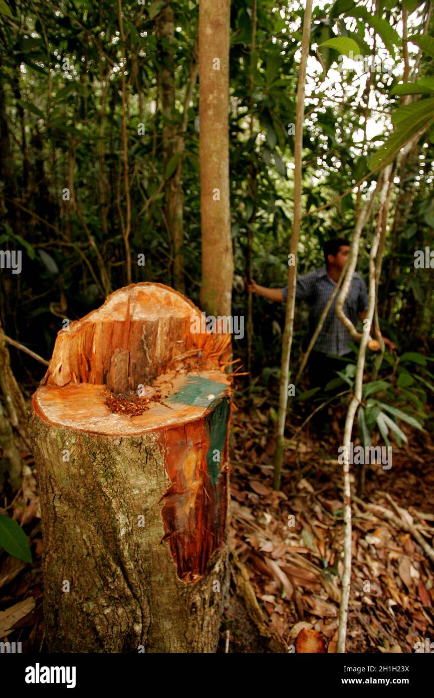 Atlantic forest brazil deforestation hi-res stock photography and ...