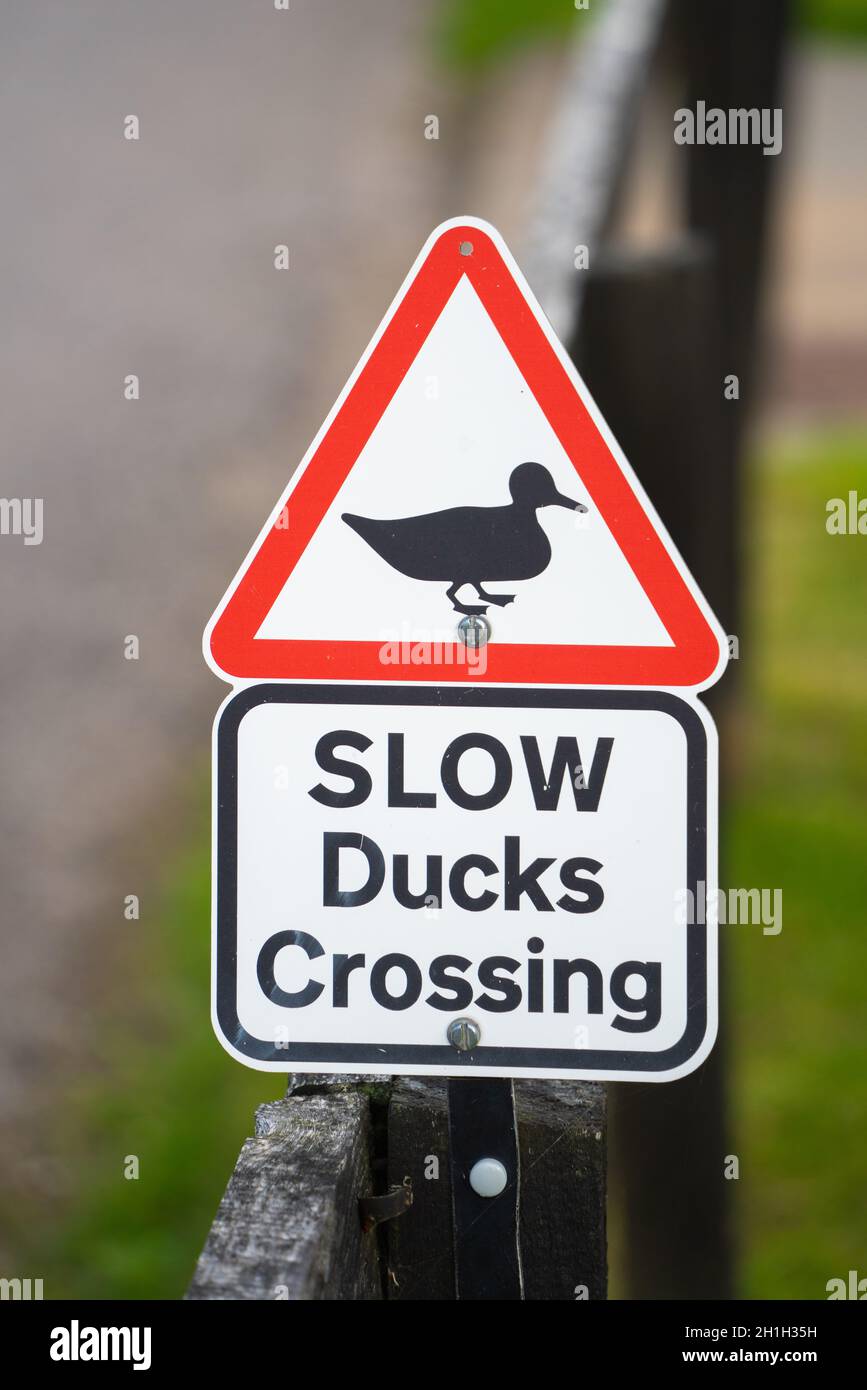 Information, signs, indicate, danger, particular area, indicate ...