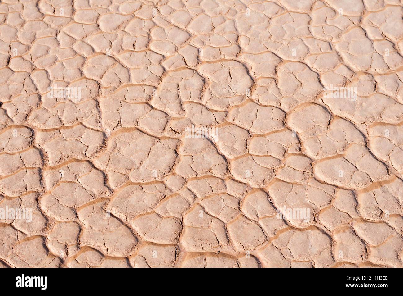 Drought parched soil hi-res stock photography and images - Alamy