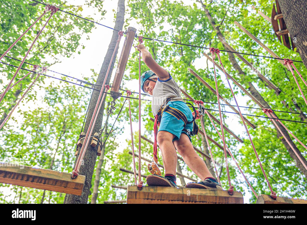 Little boy with climbing gear climbing rope trail between pine trees in ...