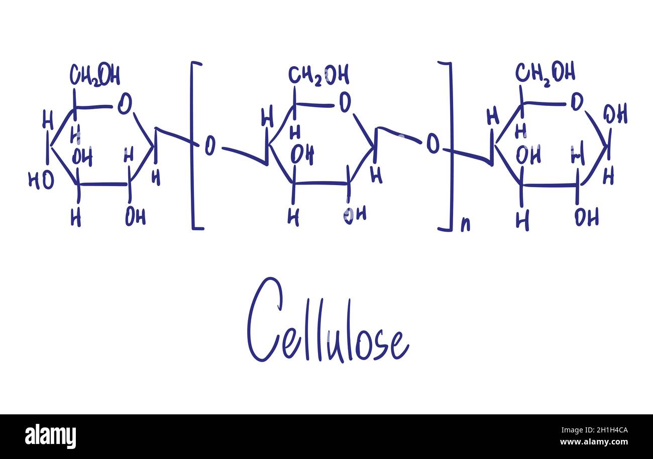 Cellulose chemical structure. Vector illustration Hand drawn Stock ...