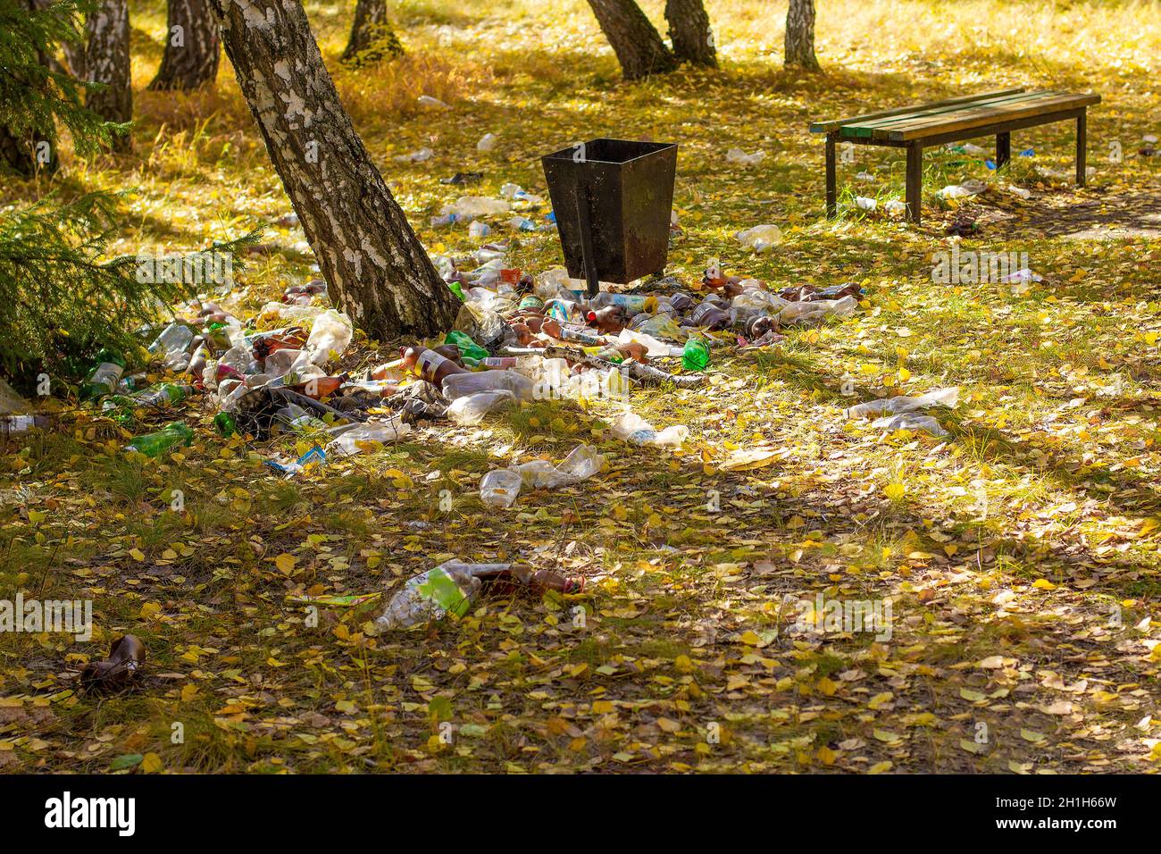 Garbage lying on the grass in the park next to the trash can and the ...