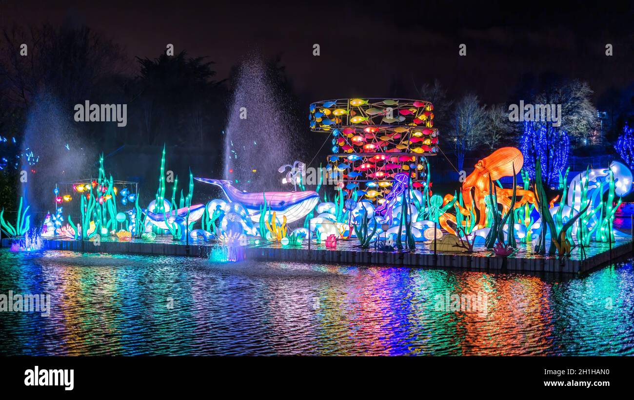 Dublin, Ireland, November 2018 Wild lights at Dublin zoo. Light ...