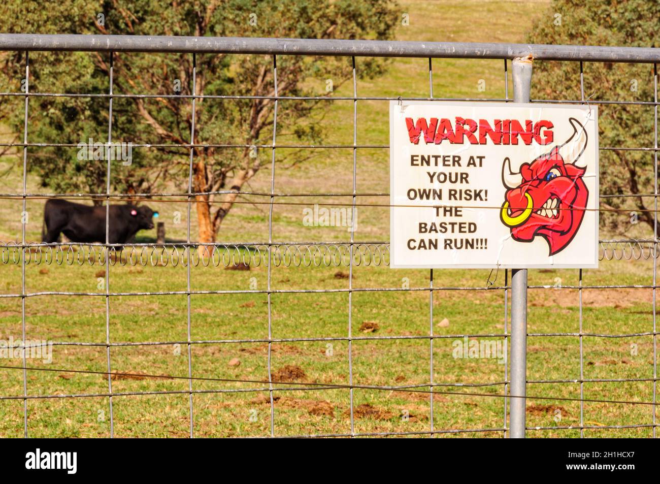Mansfield australia hi-res stock photography and images - Alamy