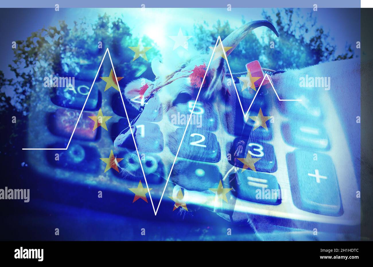 Modern calculator hi-res stock photography and images - Alamy