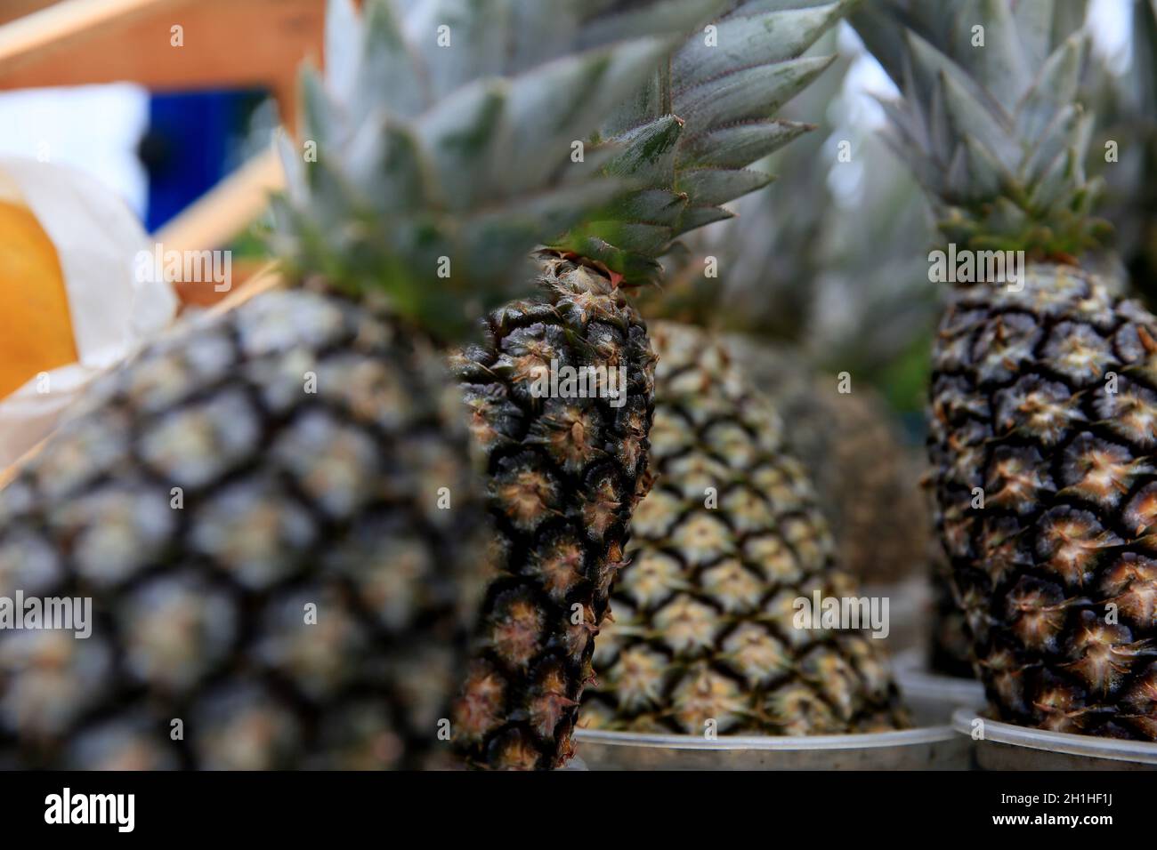 salvador, bahia / brazil - september 11, 2020: pineapple is seen for ...