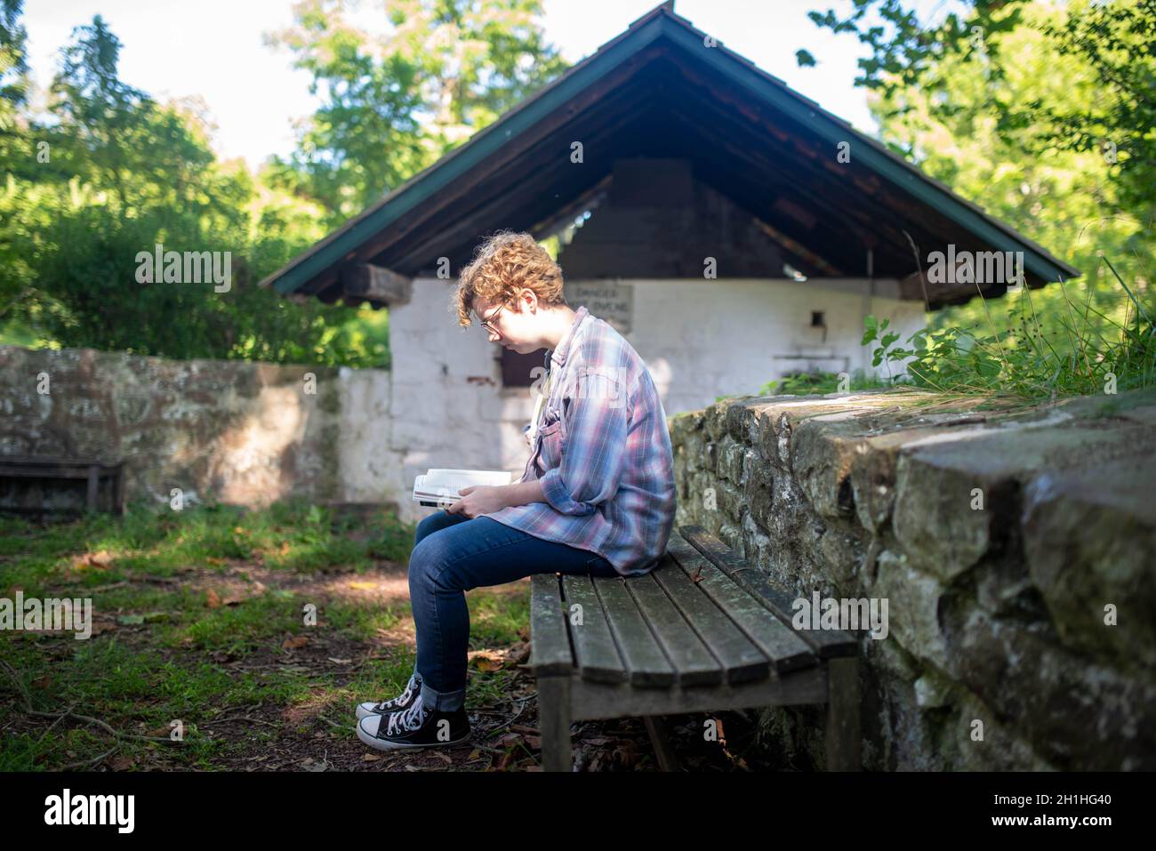 Young female college student studies outside alone on a park bench ...