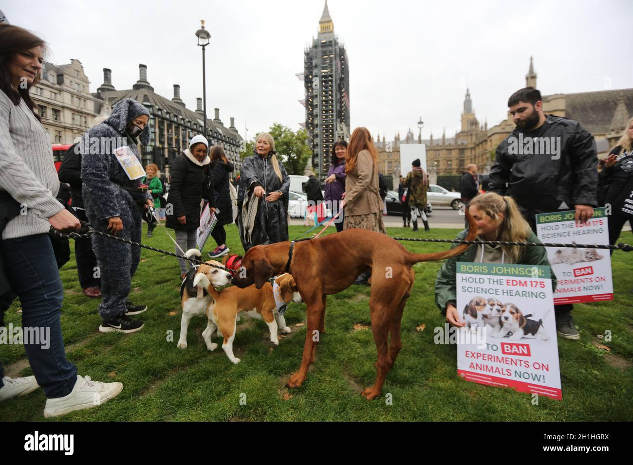 London, England, UK. 18th Oct, 2021. Animal right activists stage a ...