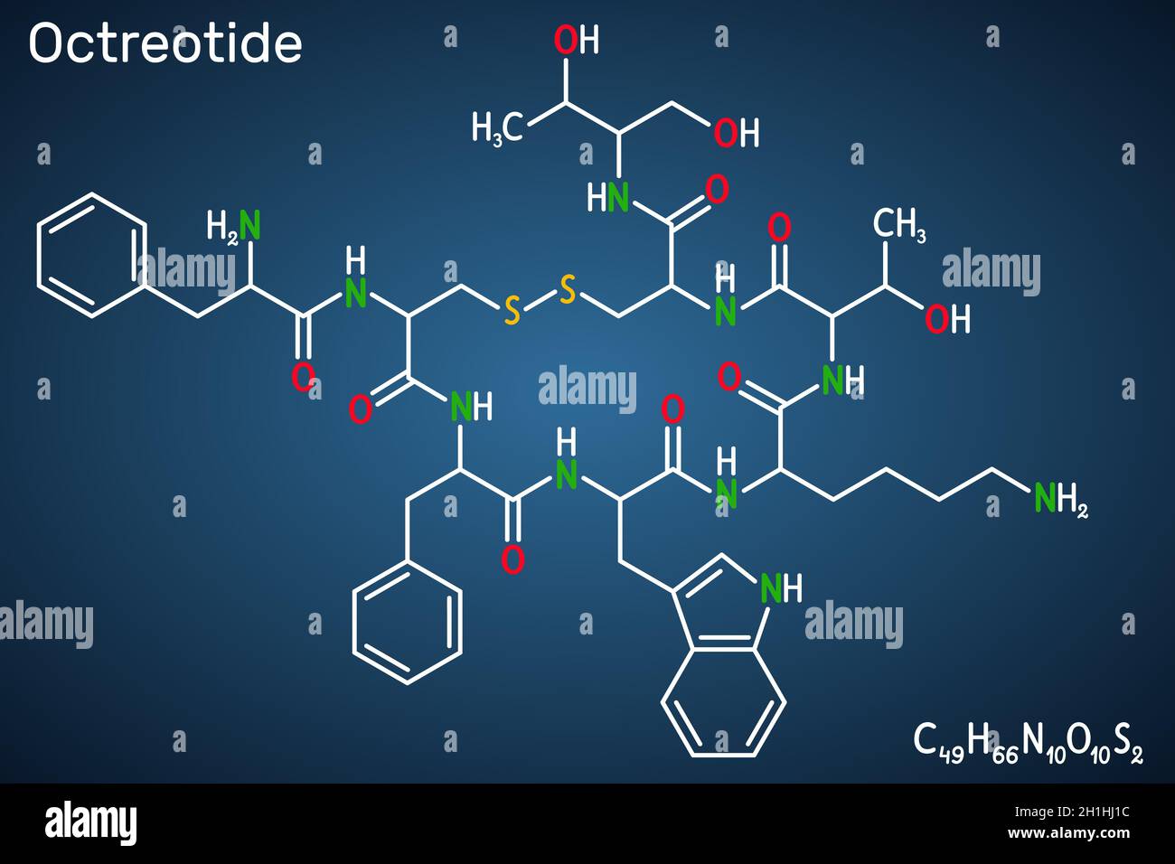 Insulin Molecule Insulin Molecule