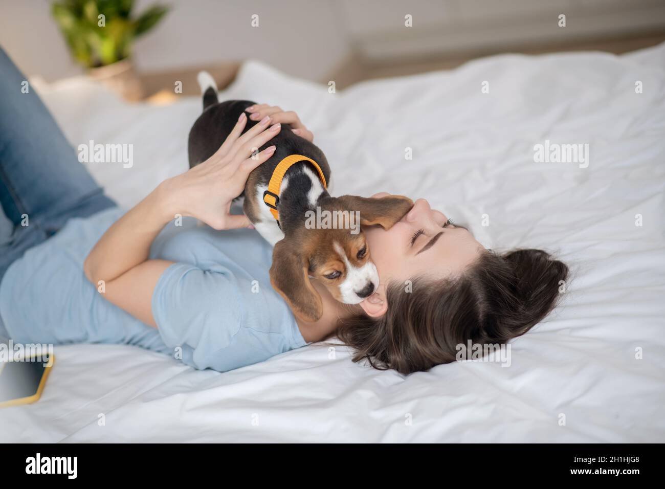Young woman holding beagle hi-res stock photography and images - Alamy