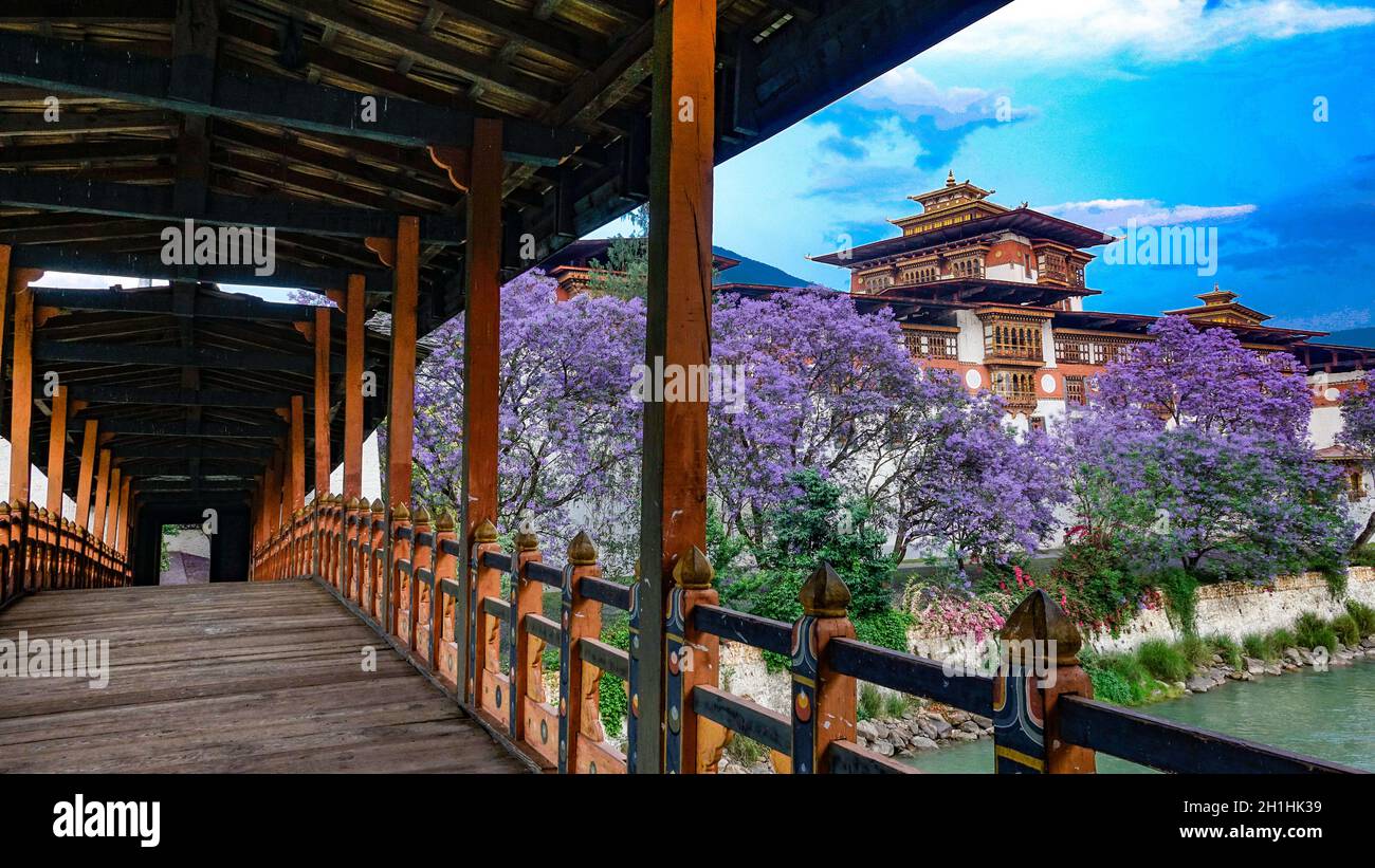 The Beautiful Punakha Dzong Bhutan Stock Photo - Alamy