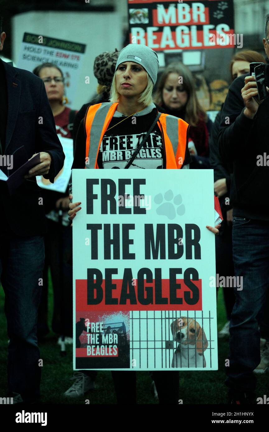 Mbr beagles protest hi-res stock photography and images - Alamy