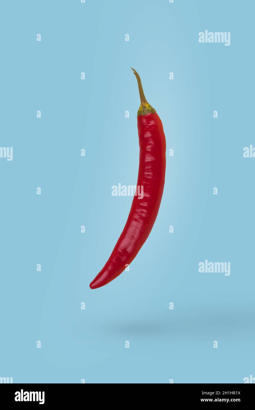 Red hot chili pepper floating in air isolated on blue background ...