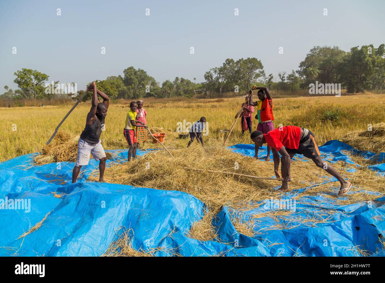The republic of guinea landscape hi-res stock photography and images ...