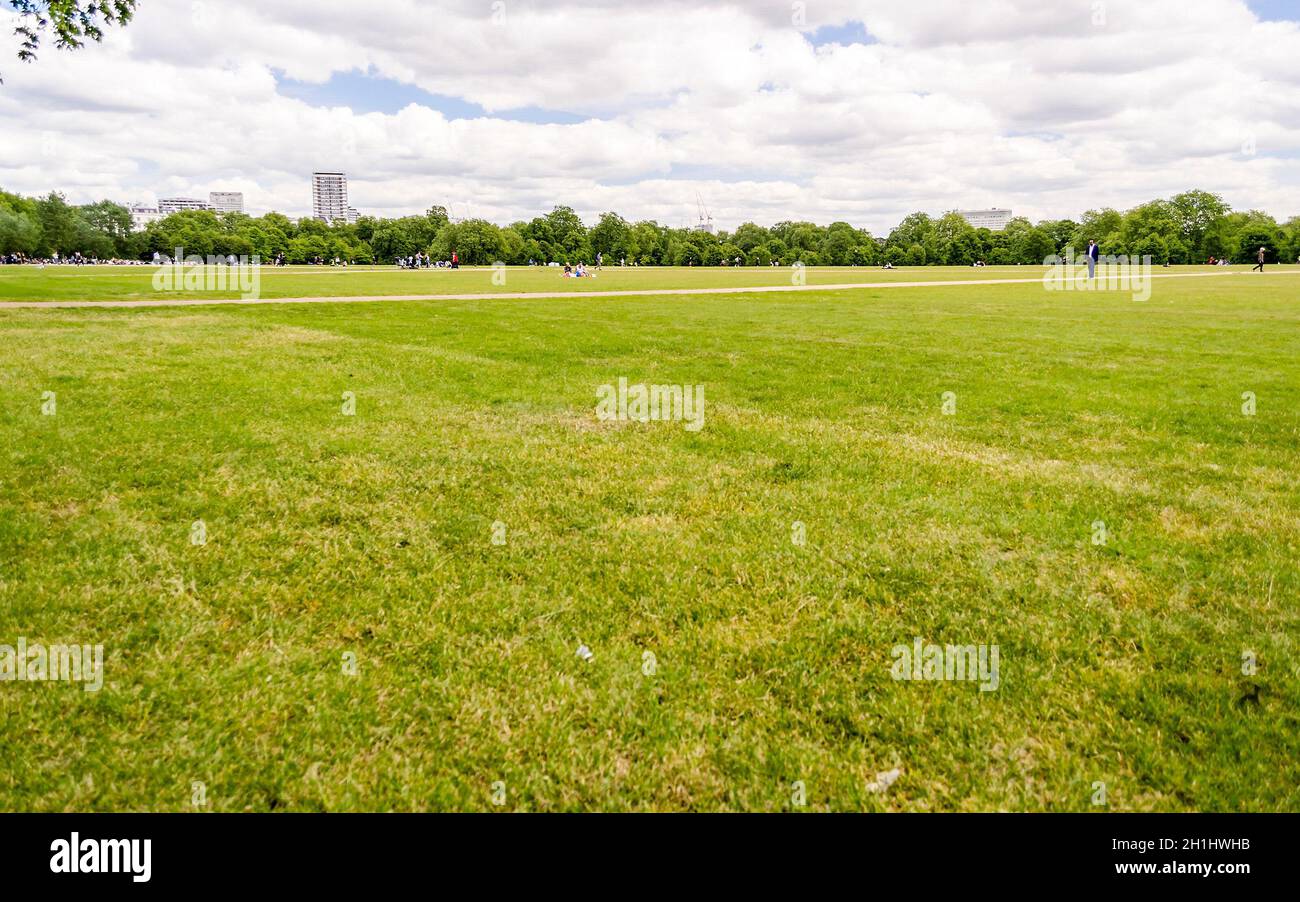 Large lawn in Hyde Park, London, UK Stock Photo - Alamy