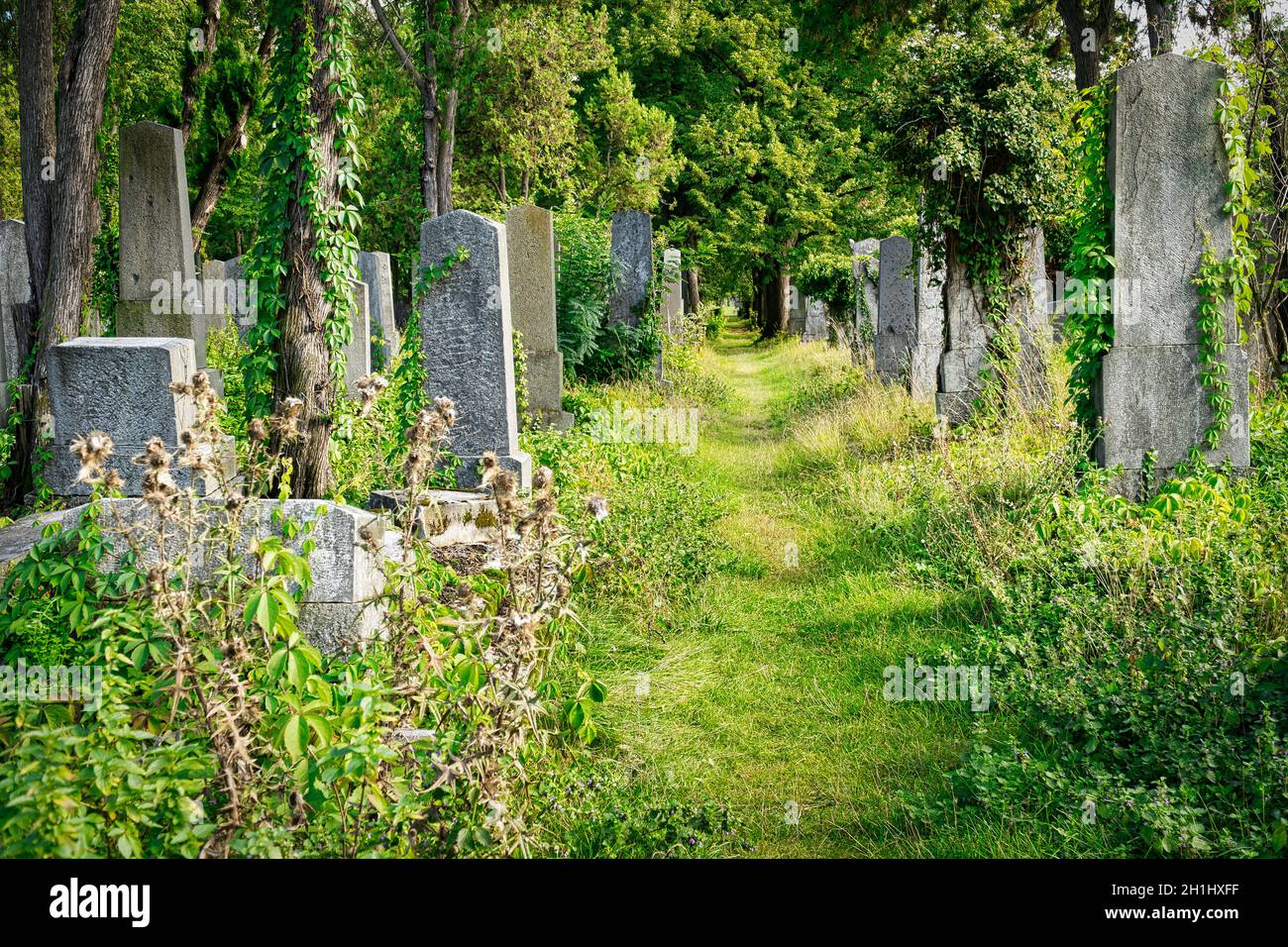 Jewish Cemetery, historic graves at Zentralfriedhof in Vienna Stock ...