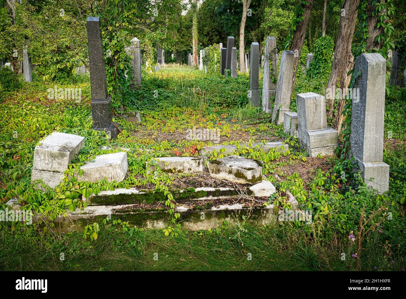 Jewish Cemetery, historic graves at Zentralfriedhof in Vienna Stock ...