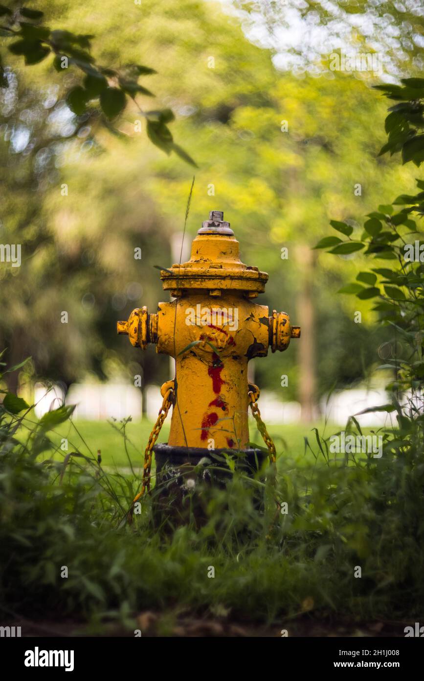 Fire Hydrant in City Park Stock Photo - Alamy