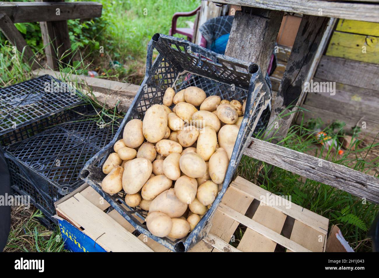 Fresh Organic Vegetables at local farmers market outdoor Stock Photo ...