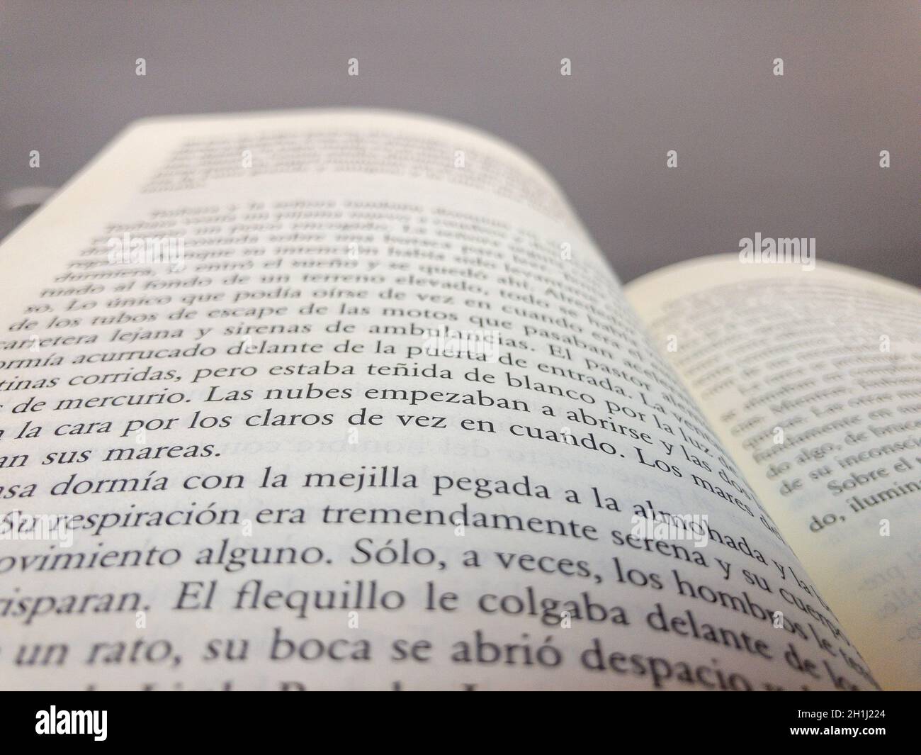 Pages of an open book in Spanish Stock Photo - Alamy
