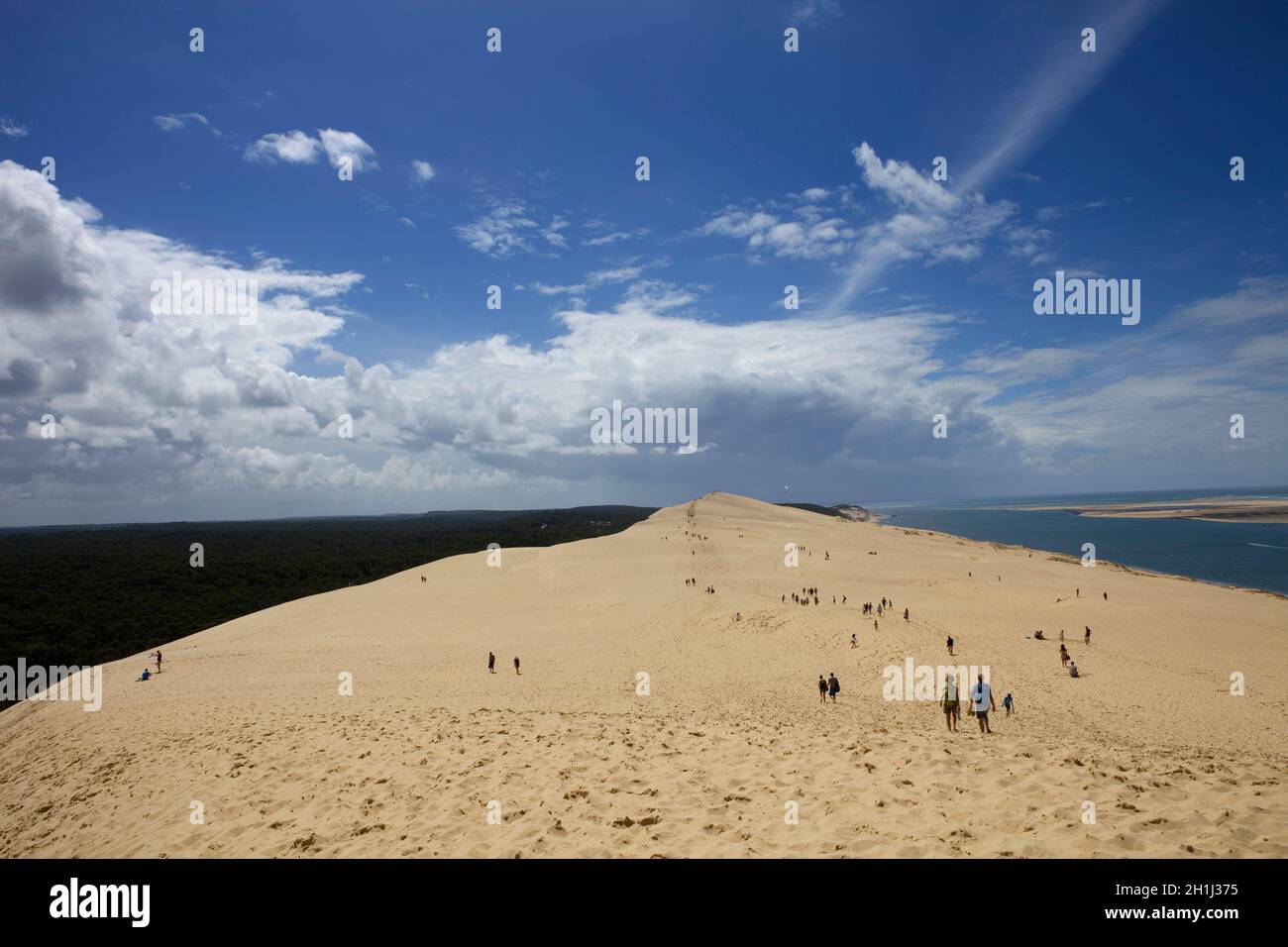 PYLA SUR MER, FRANCE - AUGUST 8: People visiting the Famous dune of ...