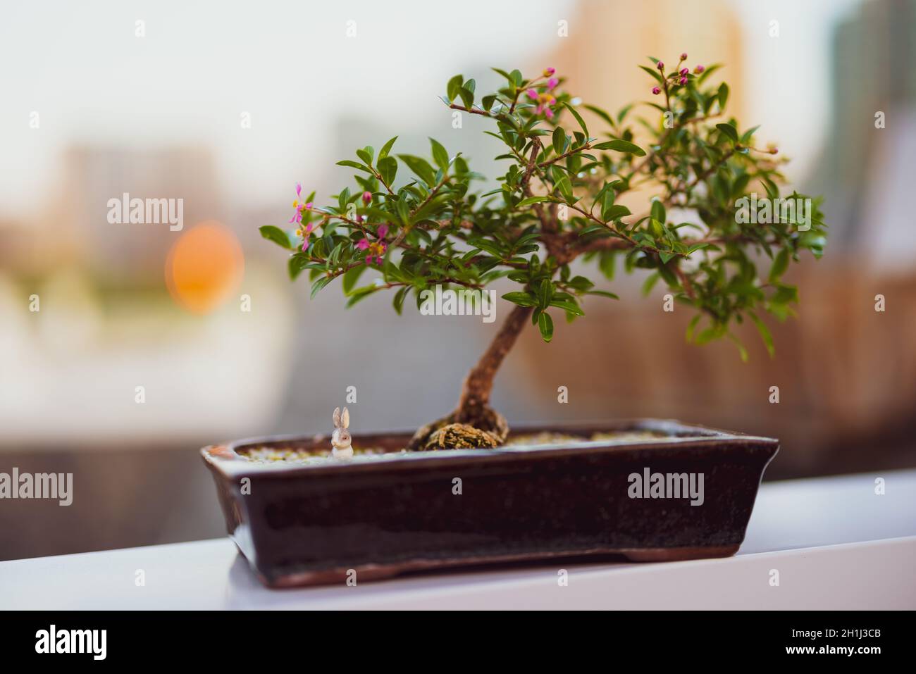 Rabbit under tree hi-res stock photography and images - Alamy