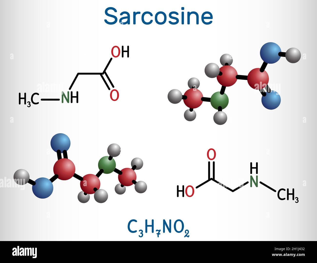 Sarcosine, N-methylglycine, N-alkylglycine molecule. It is amino acid ...