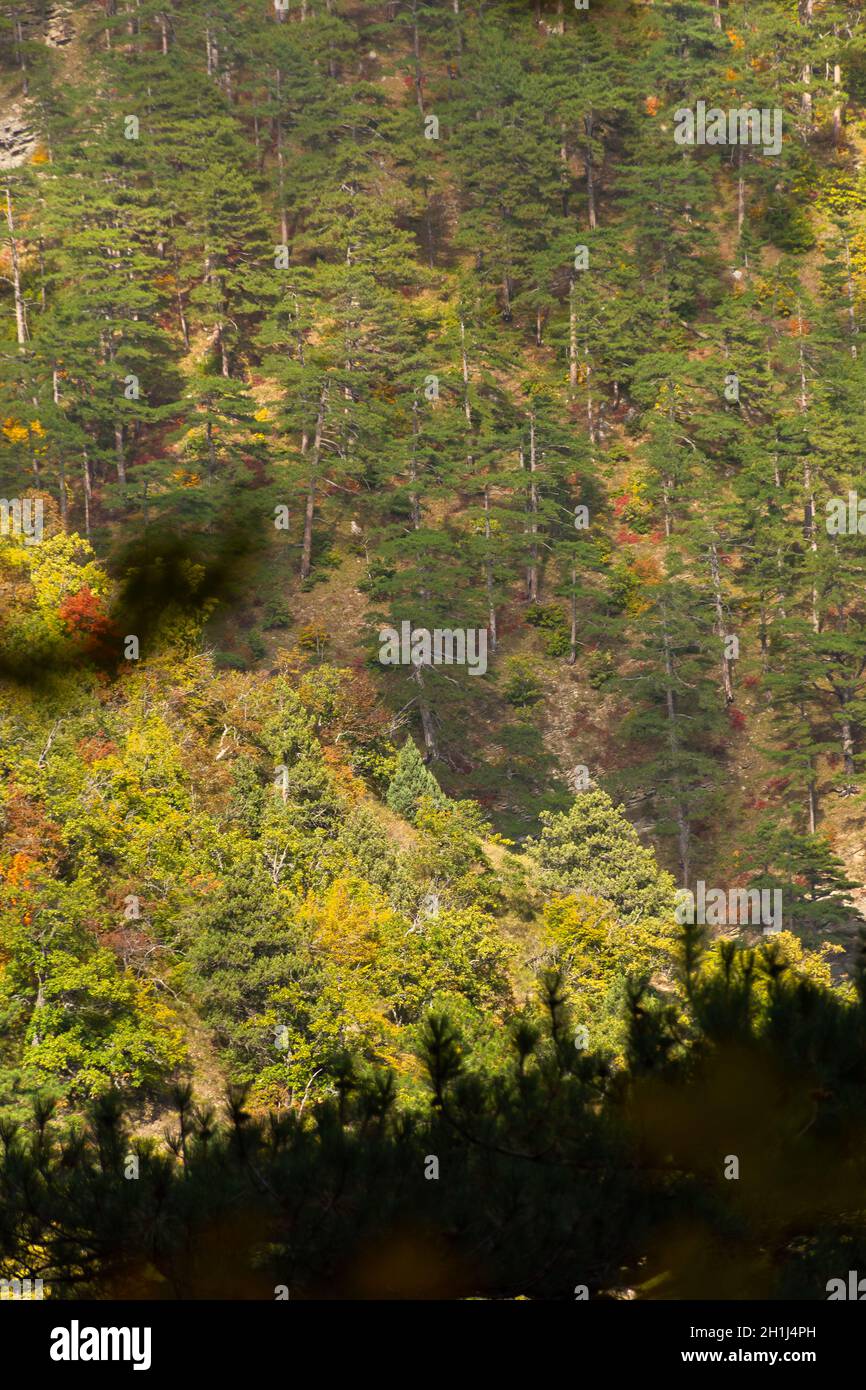 Colourful natural texture hi-res stock photography and images - Alamy