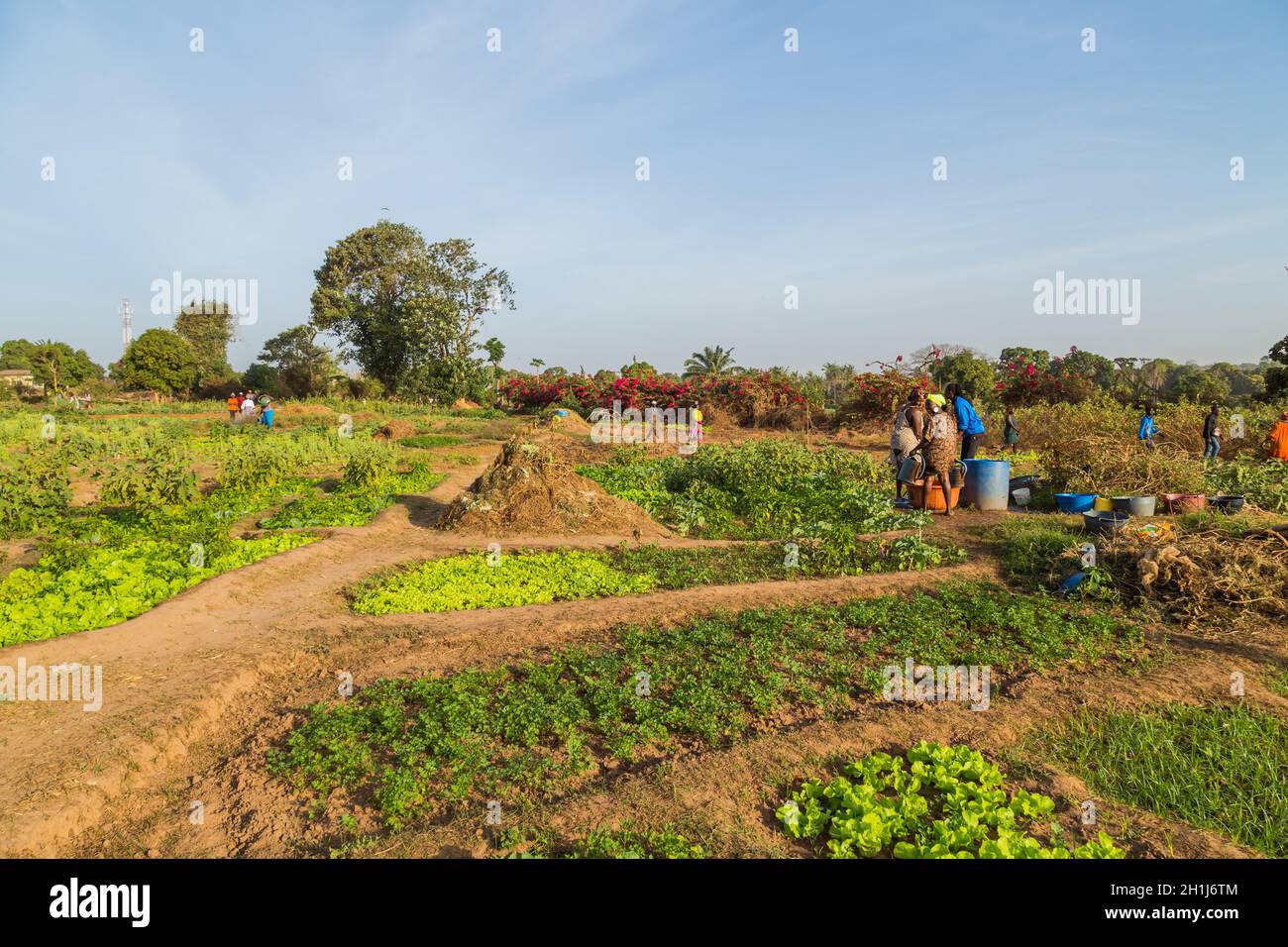 The republic of guinea landscape hi-res stock photography and images ...